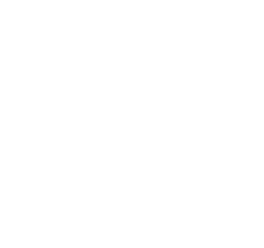 Stellar Despatch: Same-Day Deliveries Across the UK