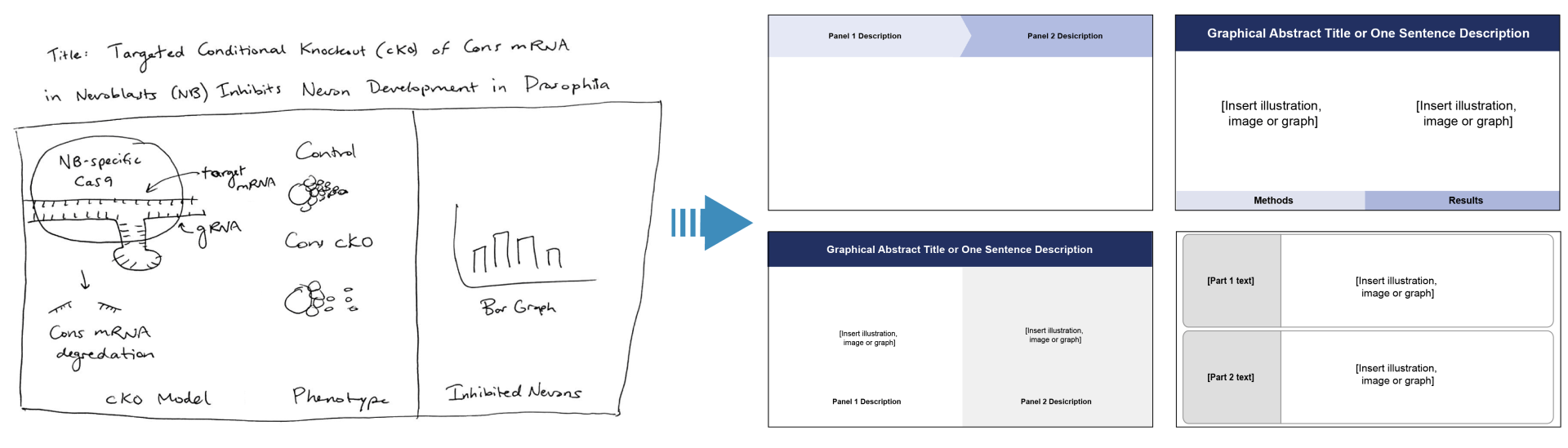 How to Make Professional Graphical Abstracts in PowerPoint and Adobe ...