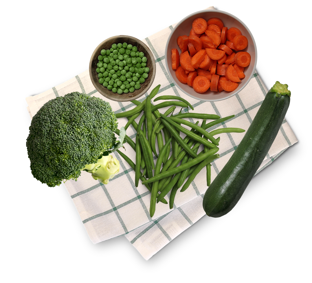 NutriPet GC - Healthy Dog Food Delivery