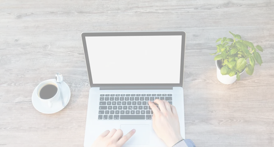 Home | Clover Property Management | FL