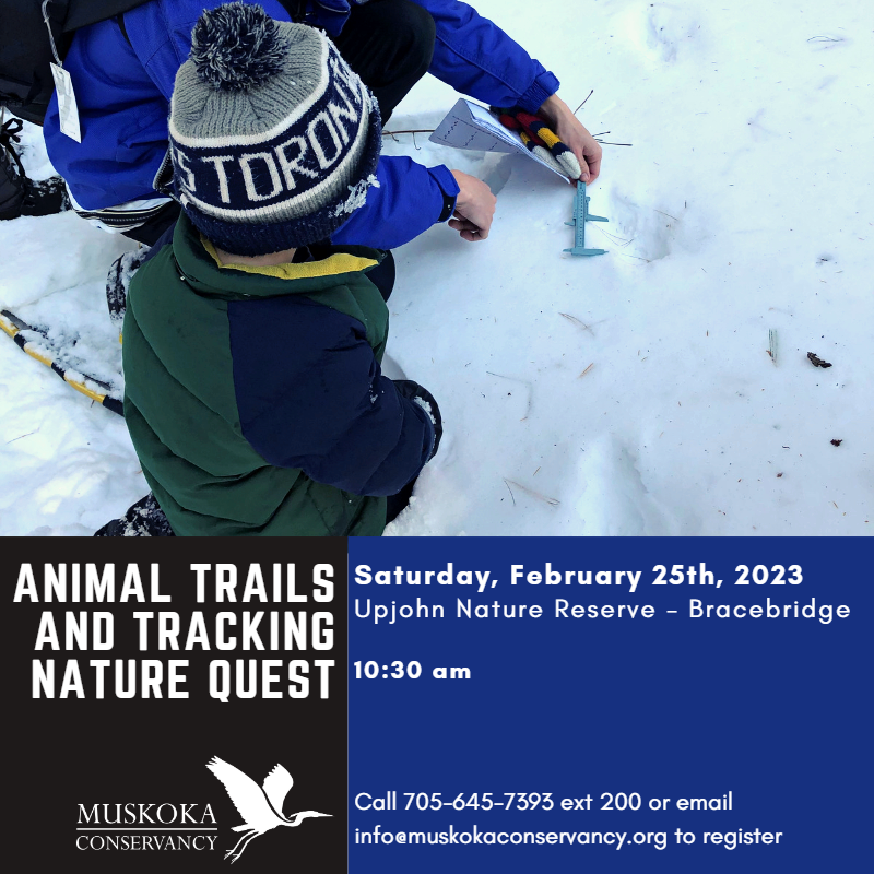 Animal Trails and Tracking Nature Quest