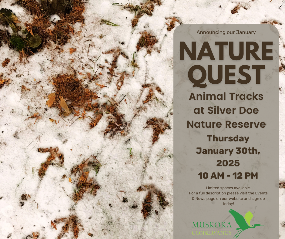 Nature Quest - January 2025