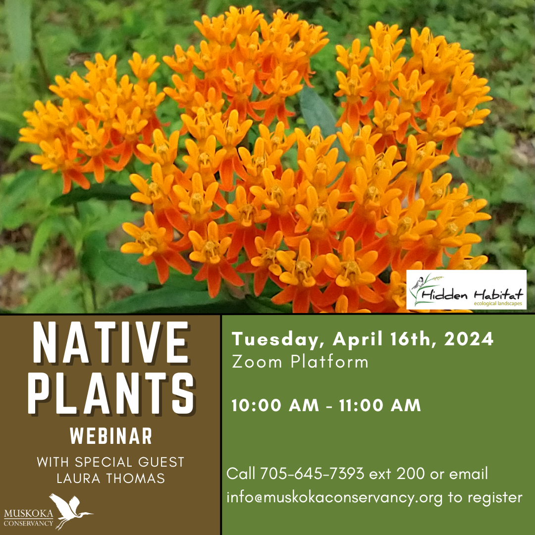 Apr 16, 2024 - Native Plants Webinar