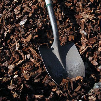 Barks | Morrison Gravel