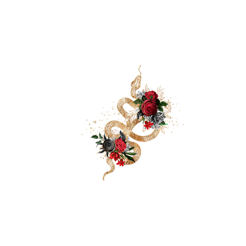 Atlas Rose Dark Romance | Home