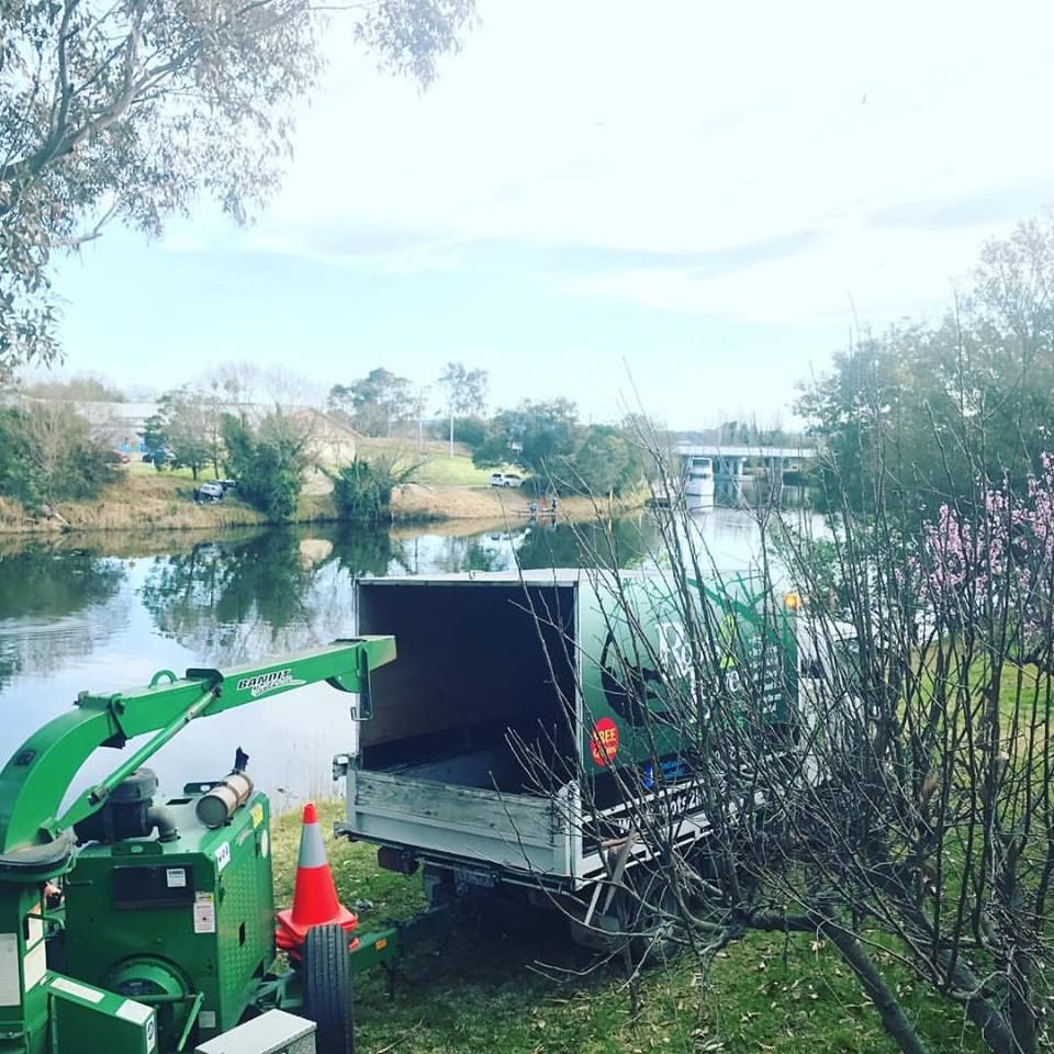 Tree Services | Orbost, VIC | Roots 2 Leaves Tree Services