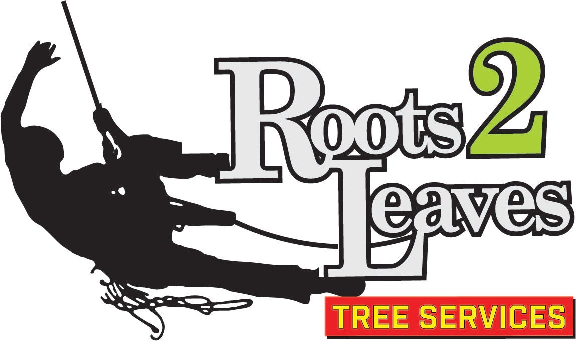 Tree Services | Orbost, VIC | Roots 2 Leaves Tree Services