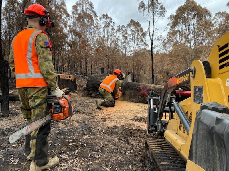 Tree Services | Orbost, VIC | Roots 2 Leaves Tree Services