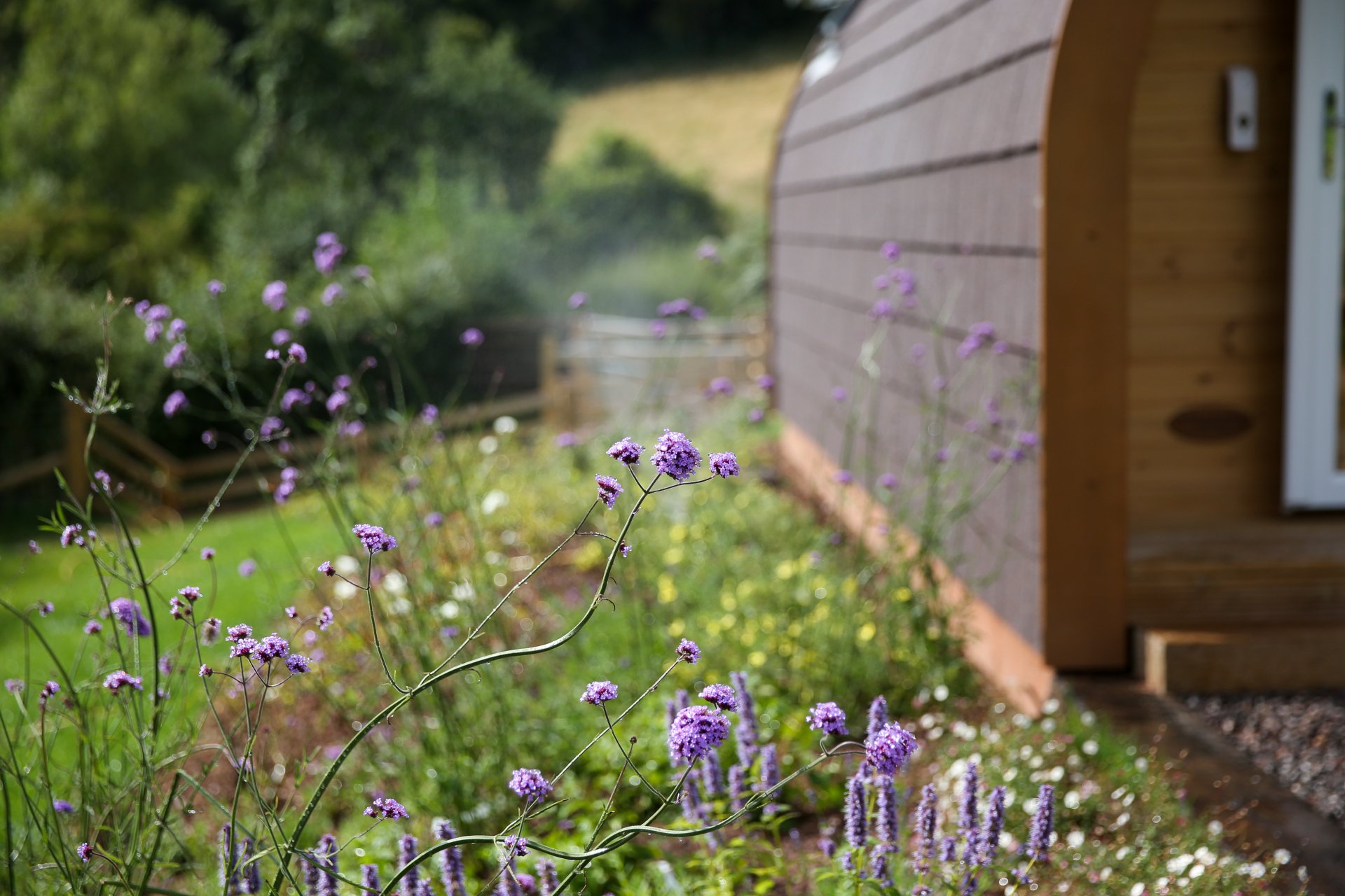 Glamping Monmouthshire | Luxury Glamping Pods at Buckholt House Farm