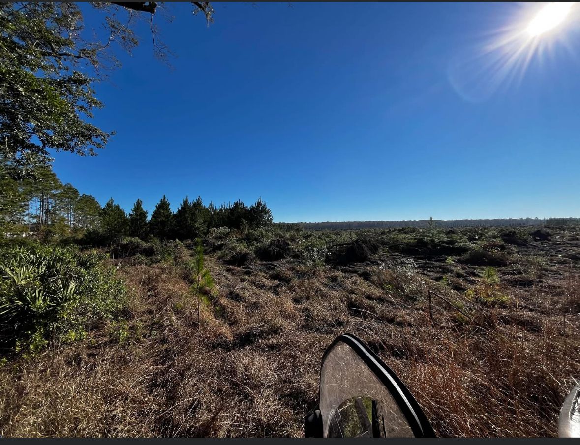 Land Clearing & Bush Hogging | Jacksonville & Palm Coast FL | TimberTech