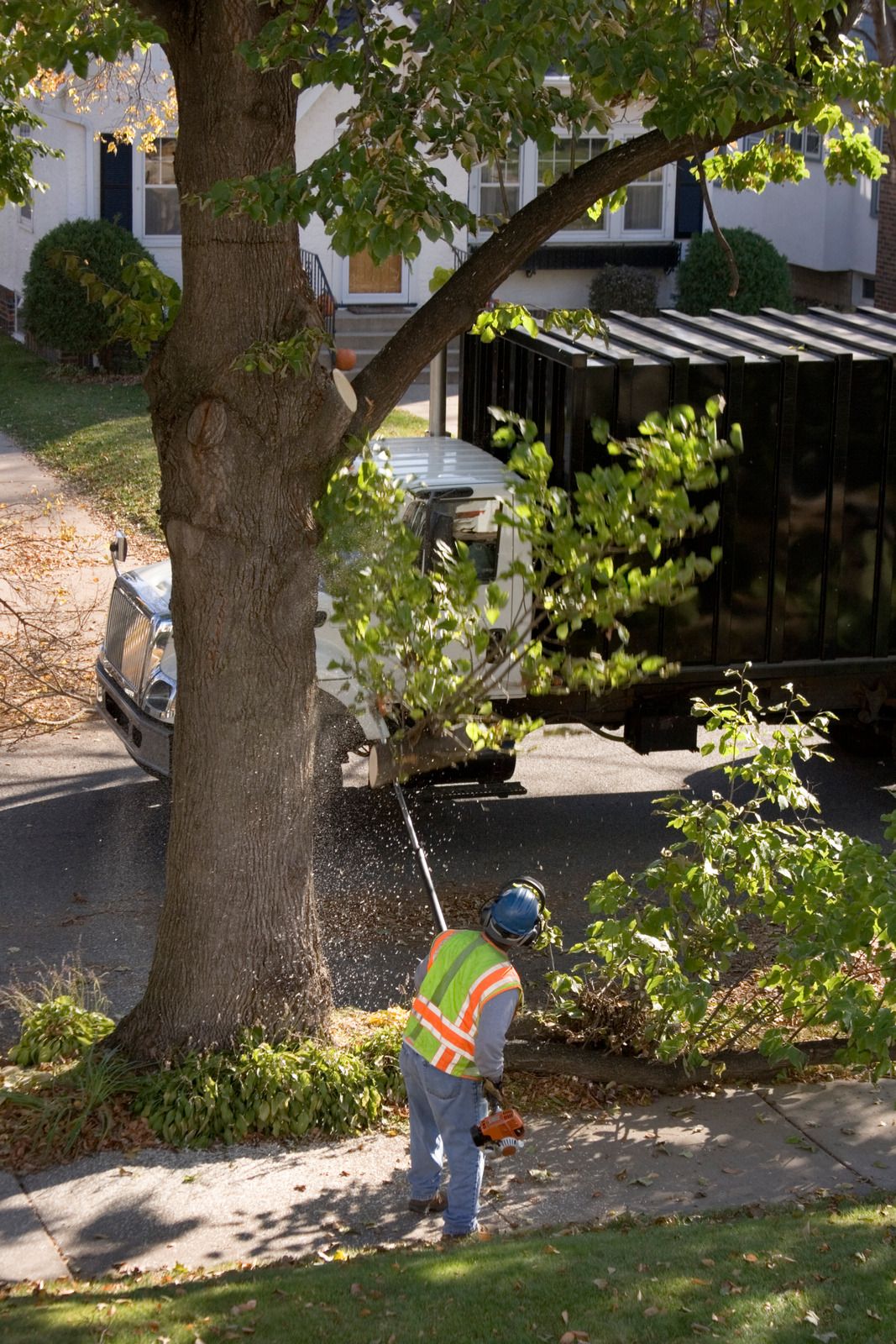 Aspen Tree Service, LLC - Top Rated Tree Service - Portland, Oregon