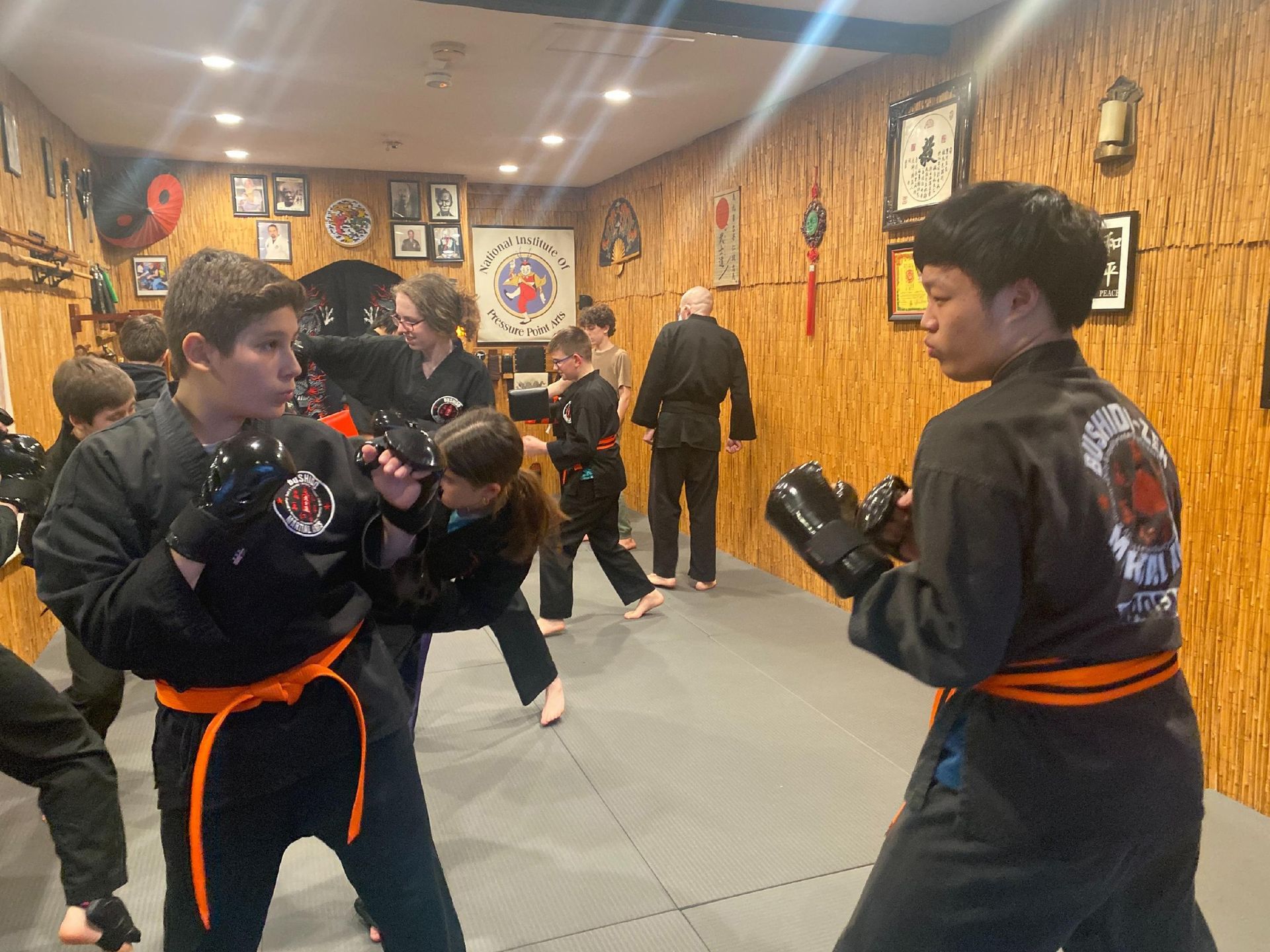 Bushido Martial Arts Academy Schedule | Belmont, MA