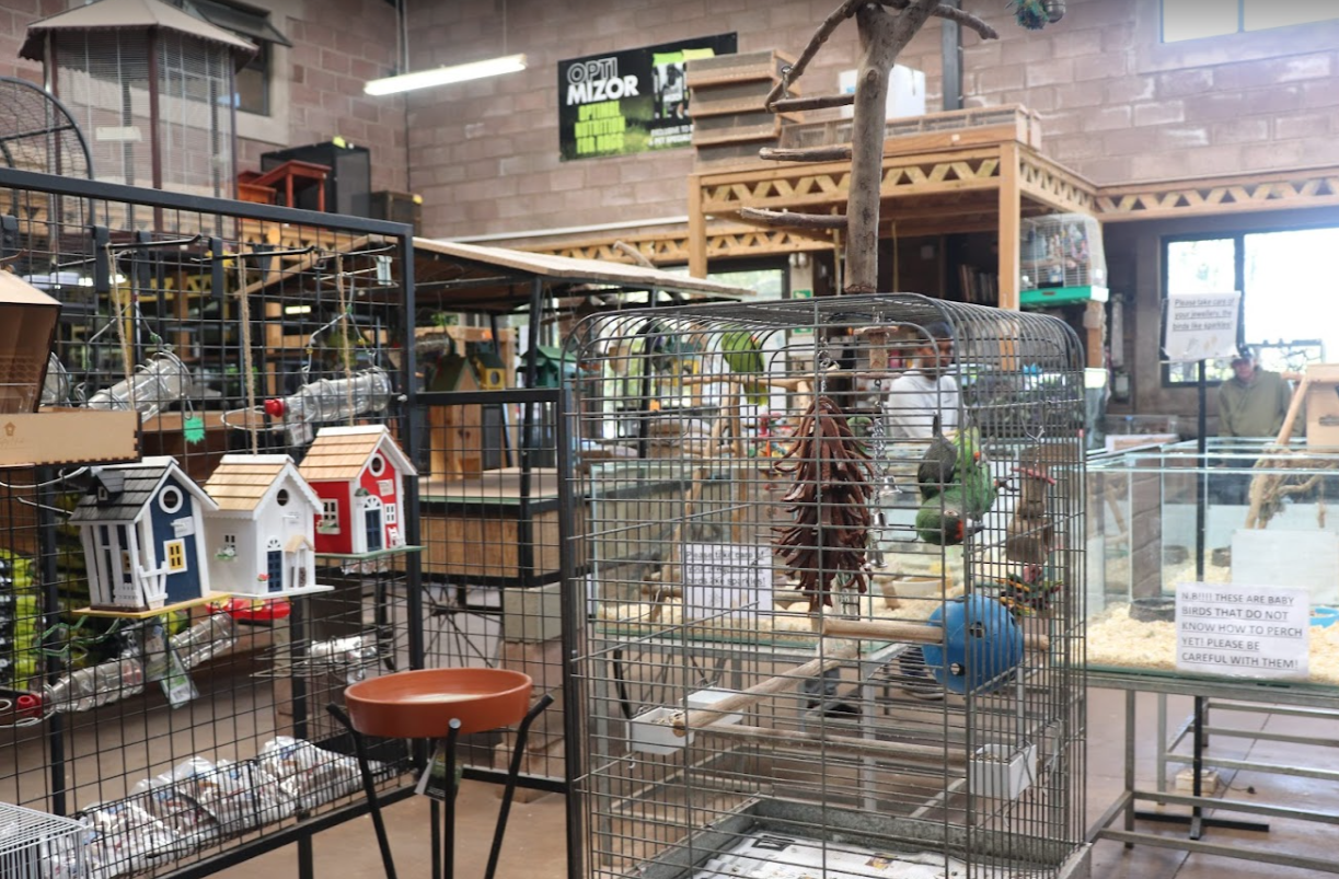 Creatures & Critters pet shop Hillcrest