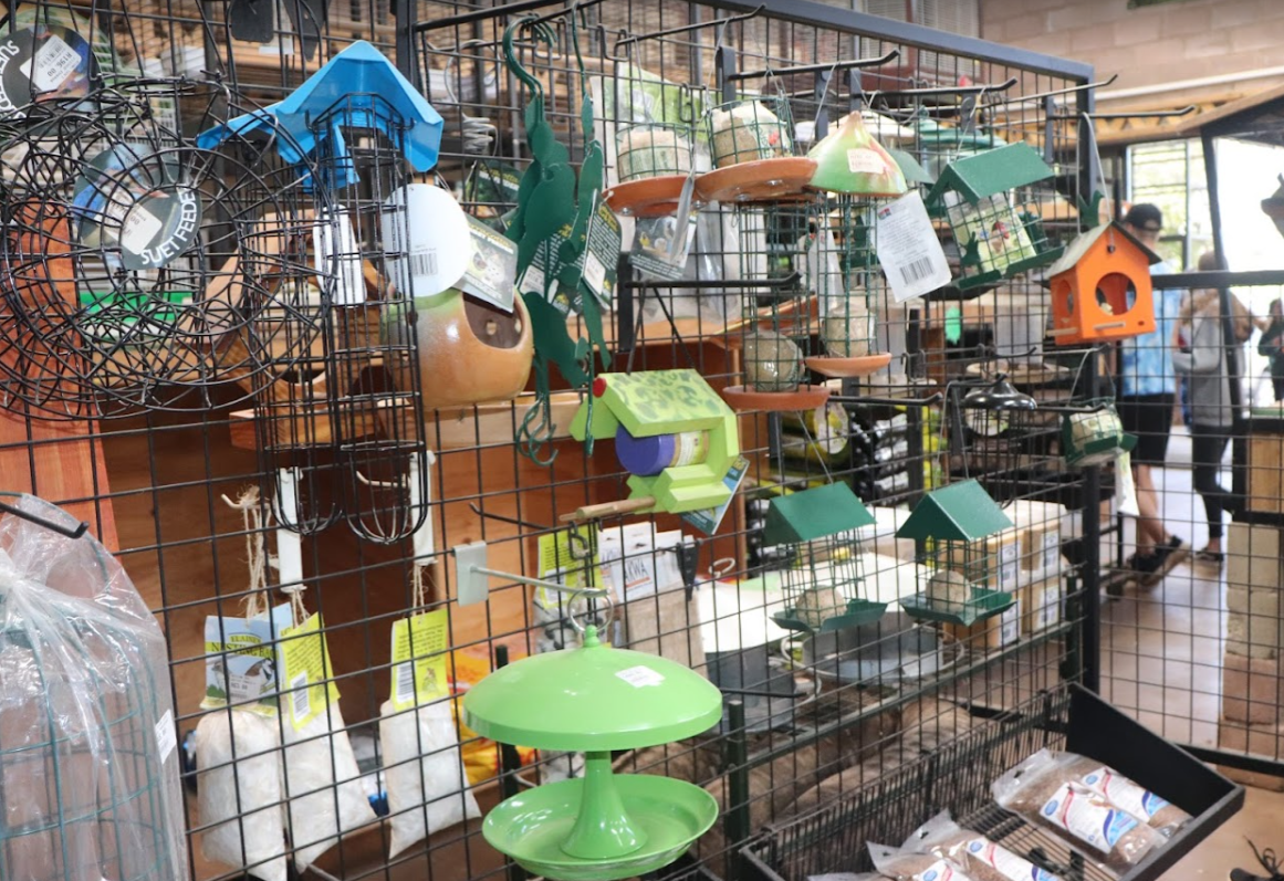 Creatures & Critters pet shop Hillcrest