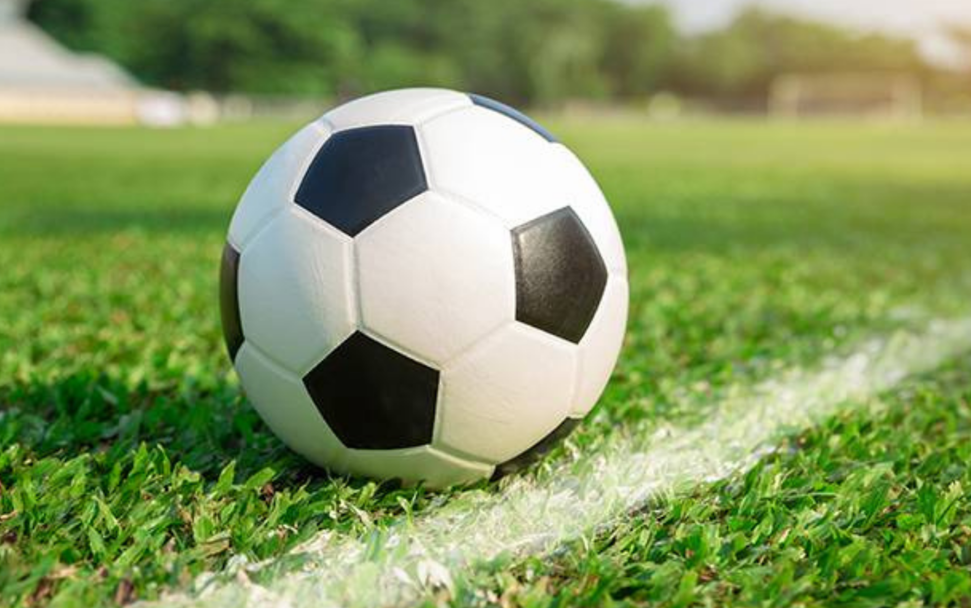 Sully Sports & Social Club | Sports