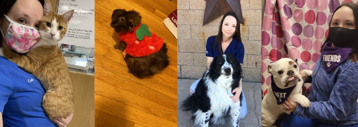 Caitlin Pierce | Animal Family Veterinary Care Center
