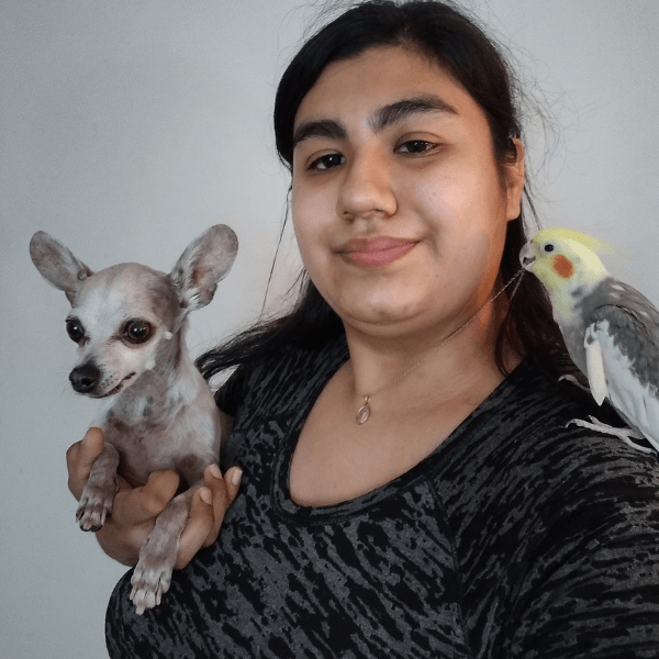 Meet the Team | Animal Family Veterinary Care Center