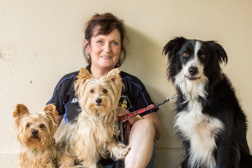 Birch Acres Dog Training Club