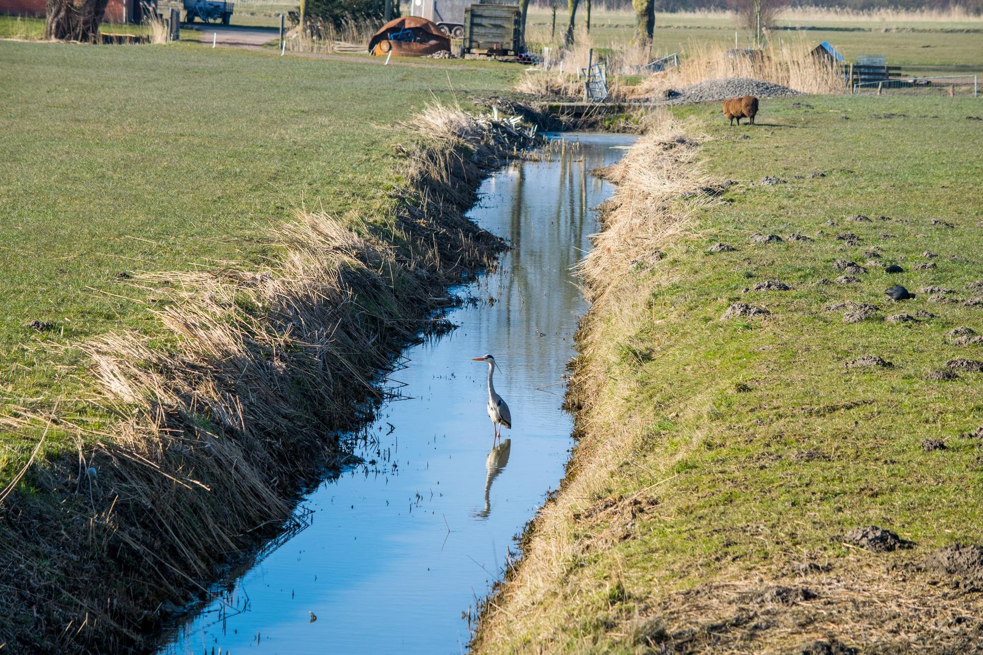 Mastering Drainage Landscape | Two Brothers
