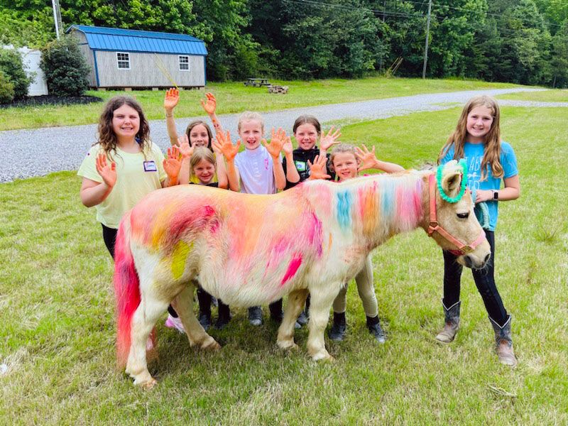 Learn to Ride Horses • Mooresville, NC • Lakeside Stables
