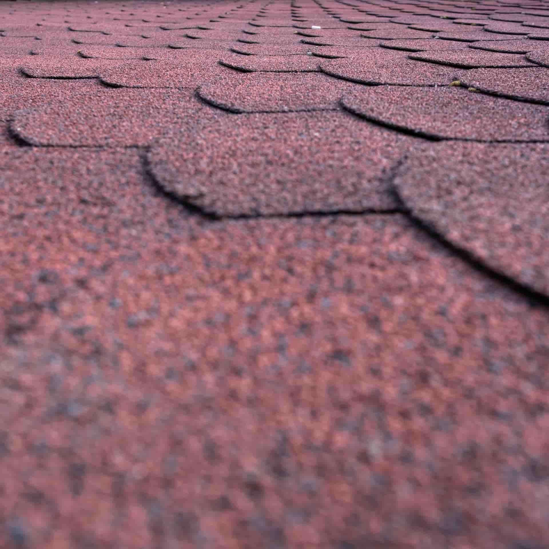 Shingle Roof Replacement | APC Roofing LLC