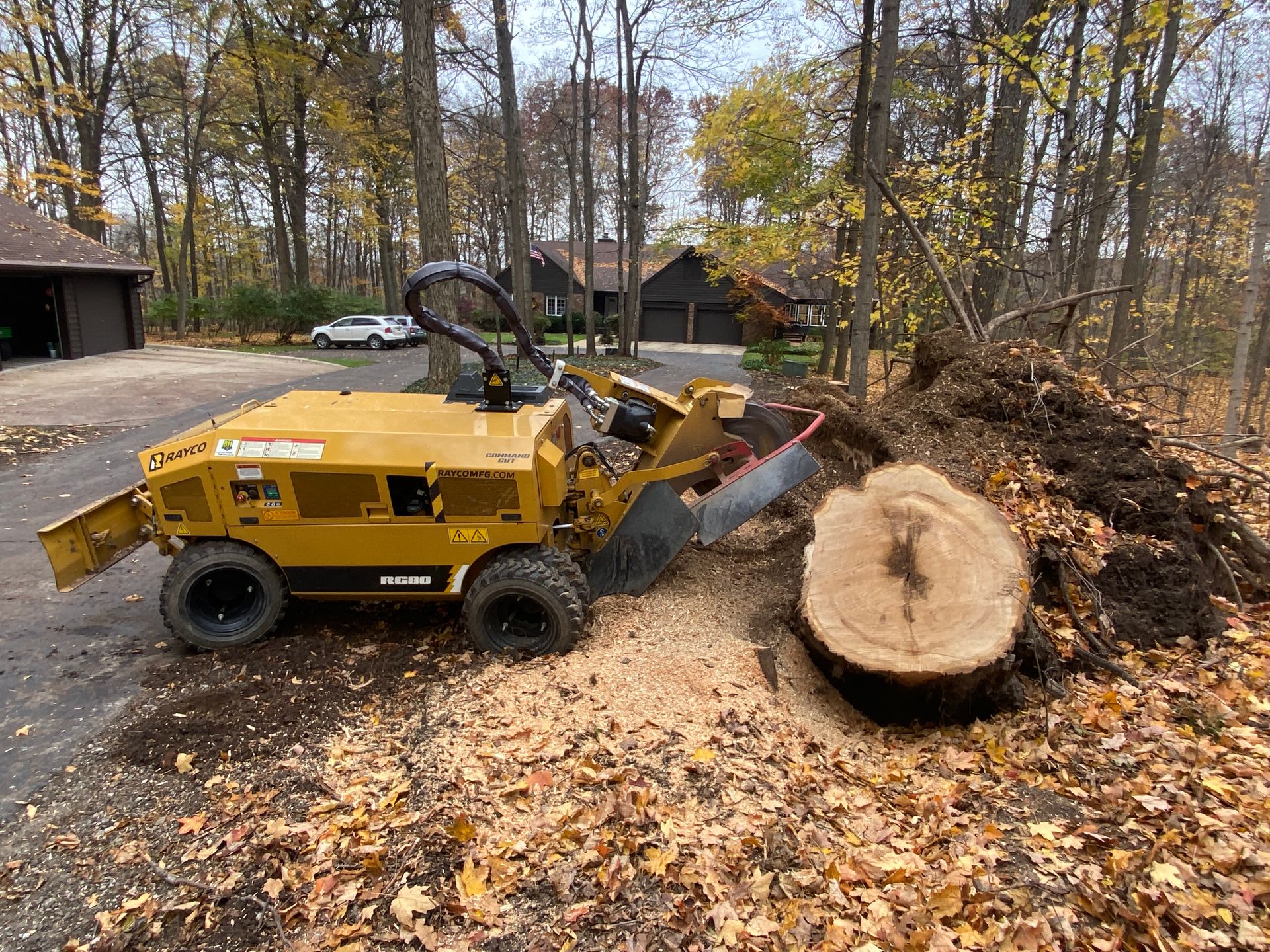 Stump Grinding Company, Commercial Stump Removal | GRIND Stump Removal ...