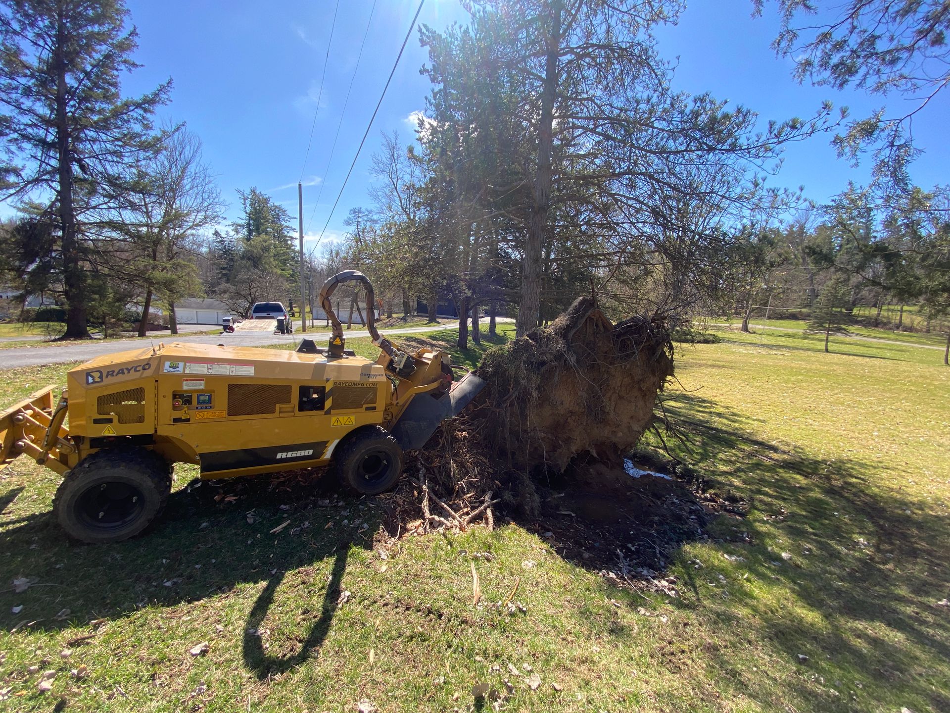 Stump Removal Services, Tree Root Removal | GRIND Stump Removal | Eagle, MI