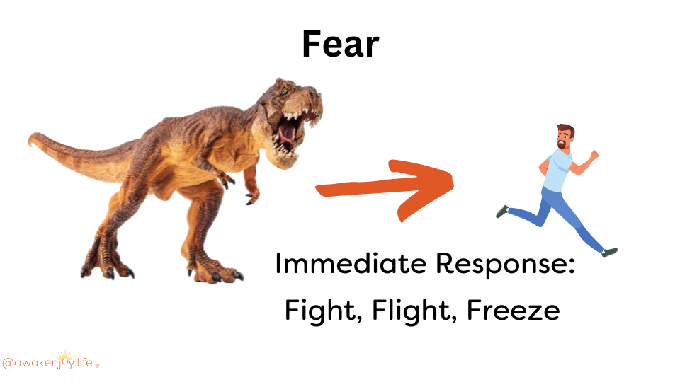 Anxiety vs Fear