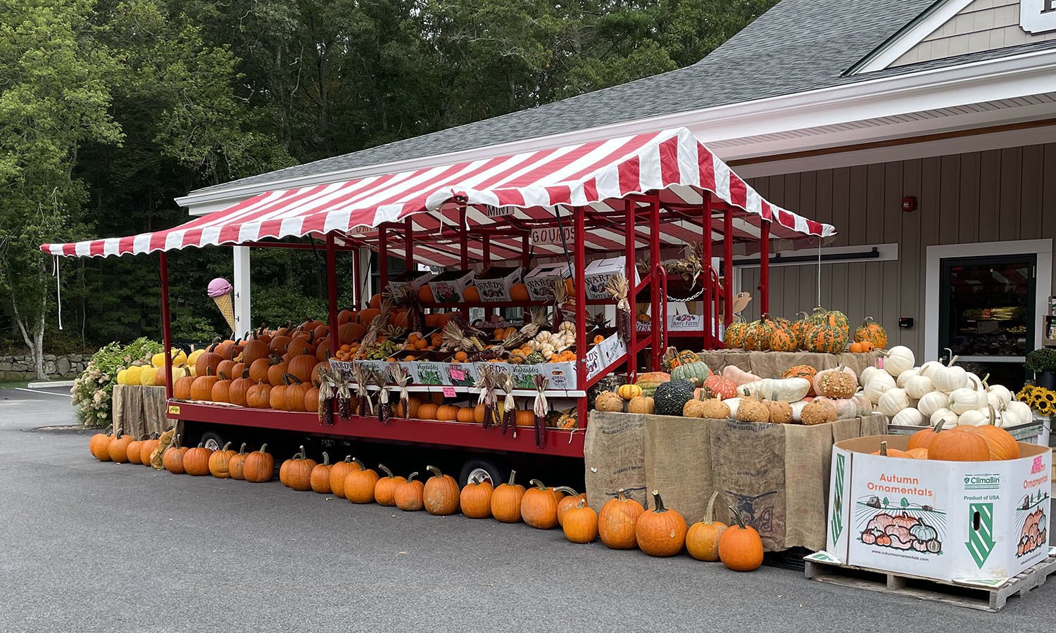 Produce Wagon at Angus Agar blog