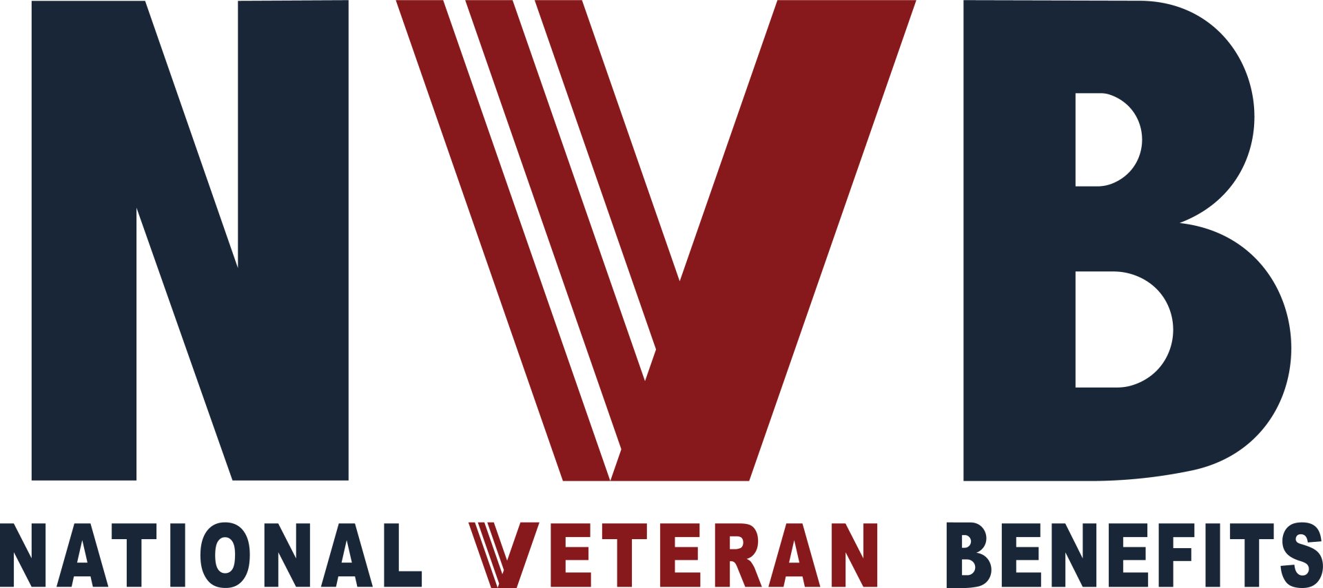 Our Partners | Envision Strategic Partners