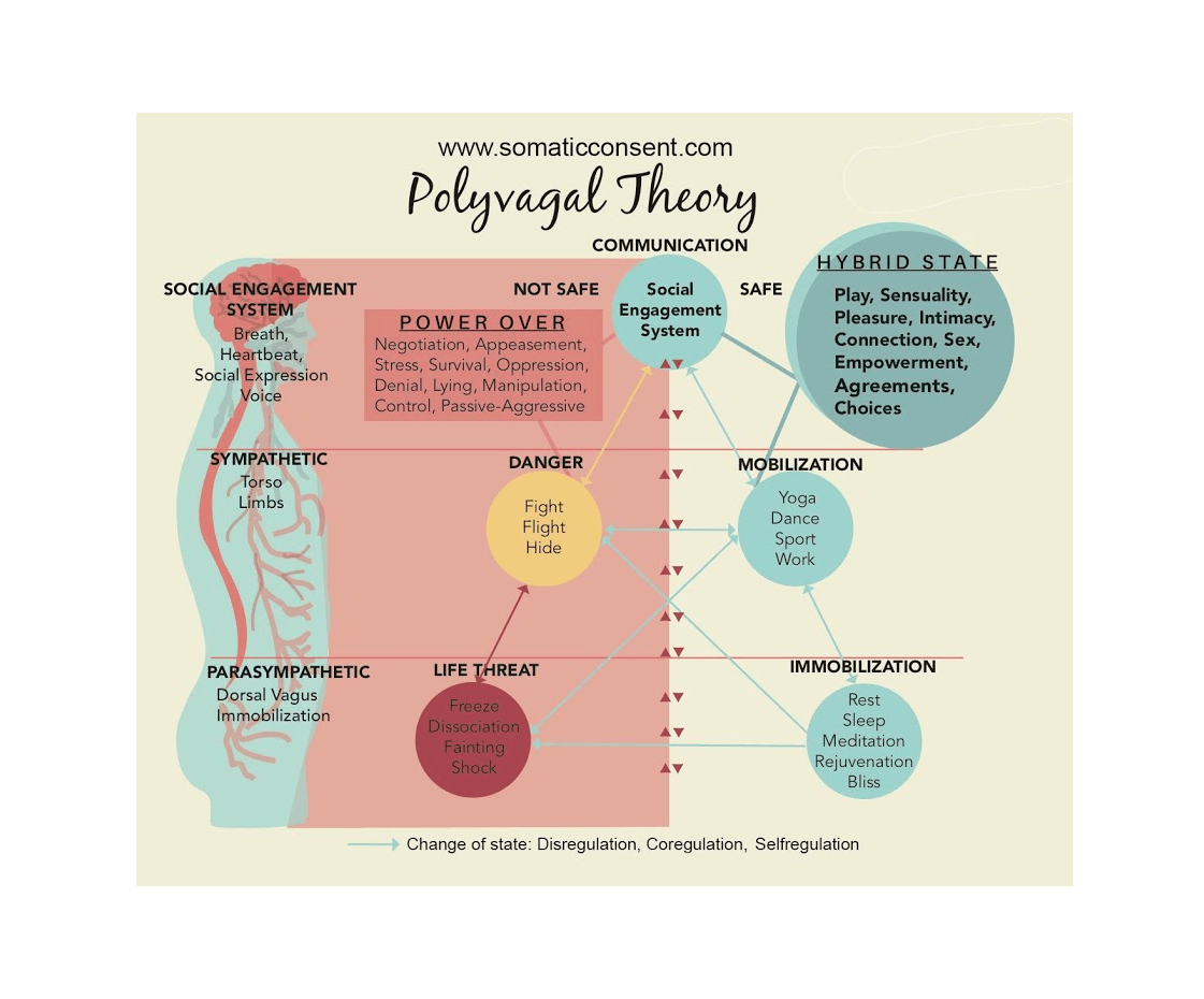 Get To Know Psychology Lab Staff - Your Last Therapist