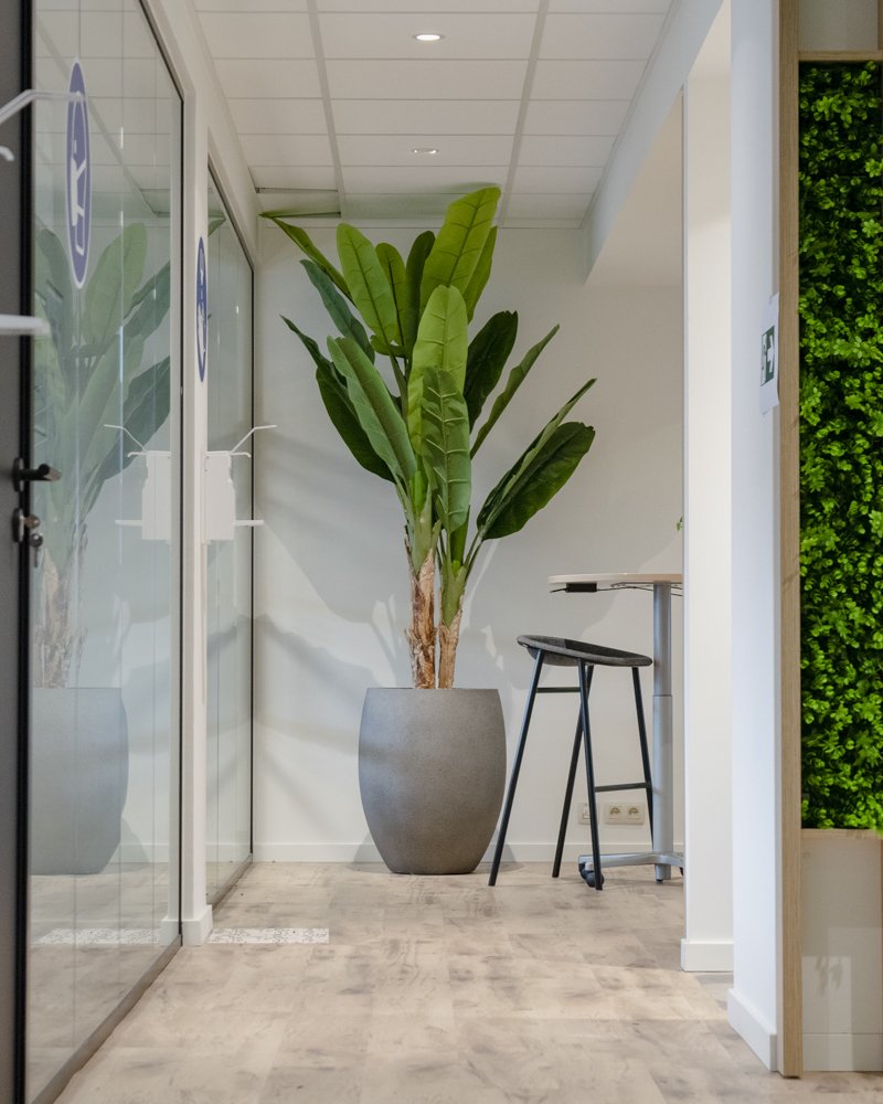 In & Out concepts | Where nature meets business