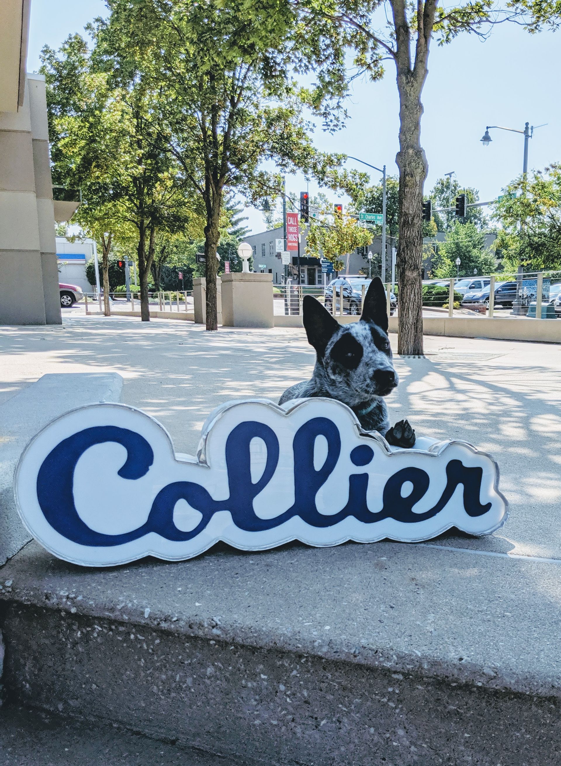 About | Northwest Arkansas | Collier Drug Stores