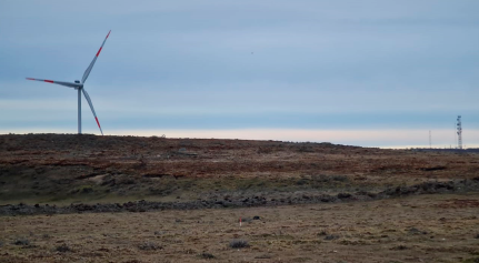 PESQUERA Y CONSERVERA ISLA LENNOX LIMITADA- INMUEBLE PUNTA ARENAS
