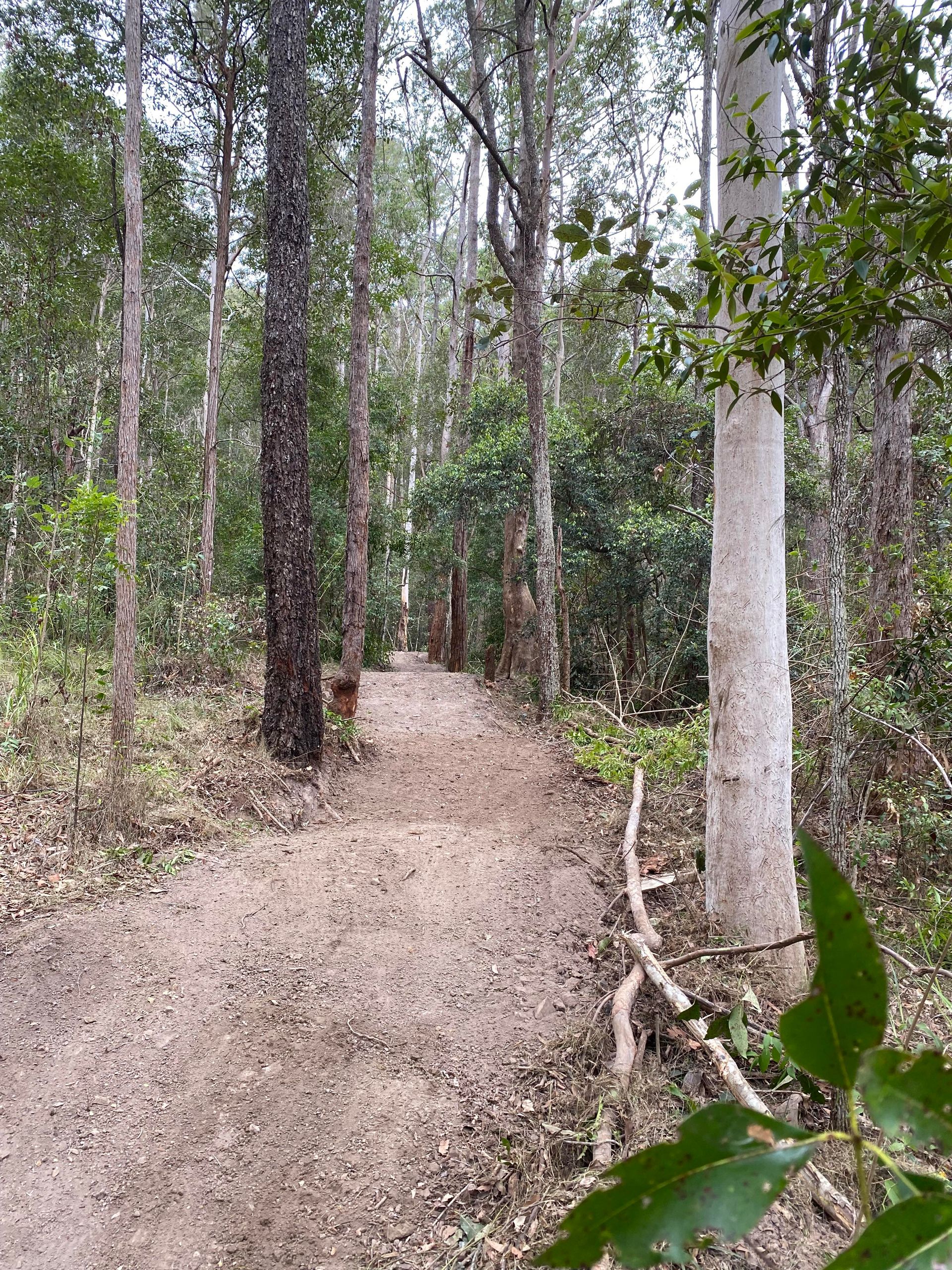 Tele Point MTB Trail | Dirt Logic | Port Macquarie NSW