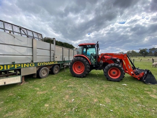 Mobile sheep dipping - Dippingdynamics.com.au