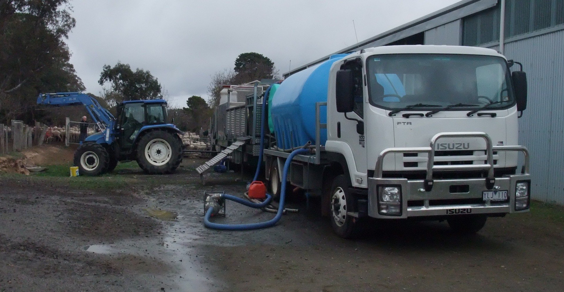 Mobile sheep dipping - Dippingdynamics.com.au