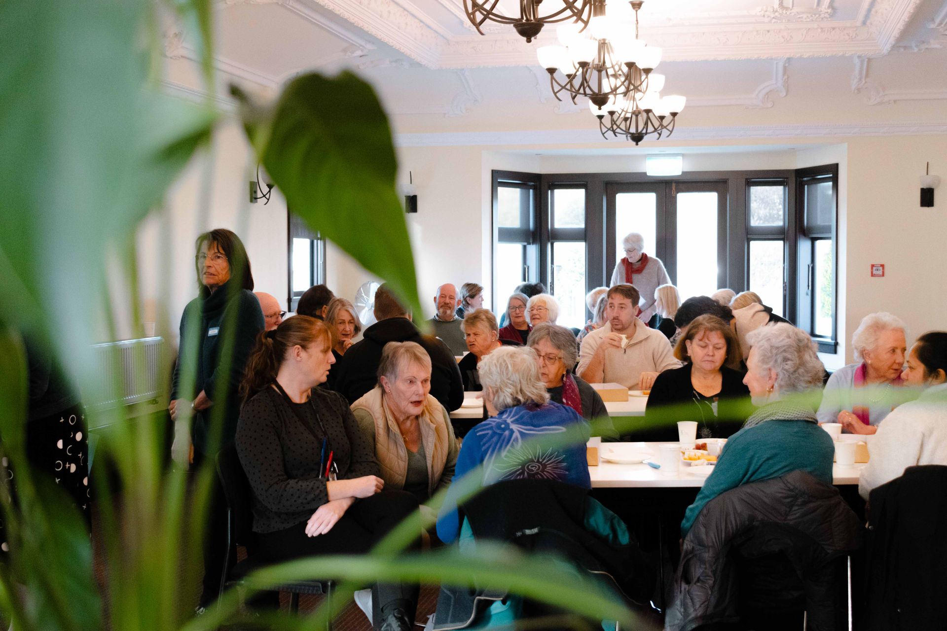 Celebrating Our Volunteers – NVW 2025