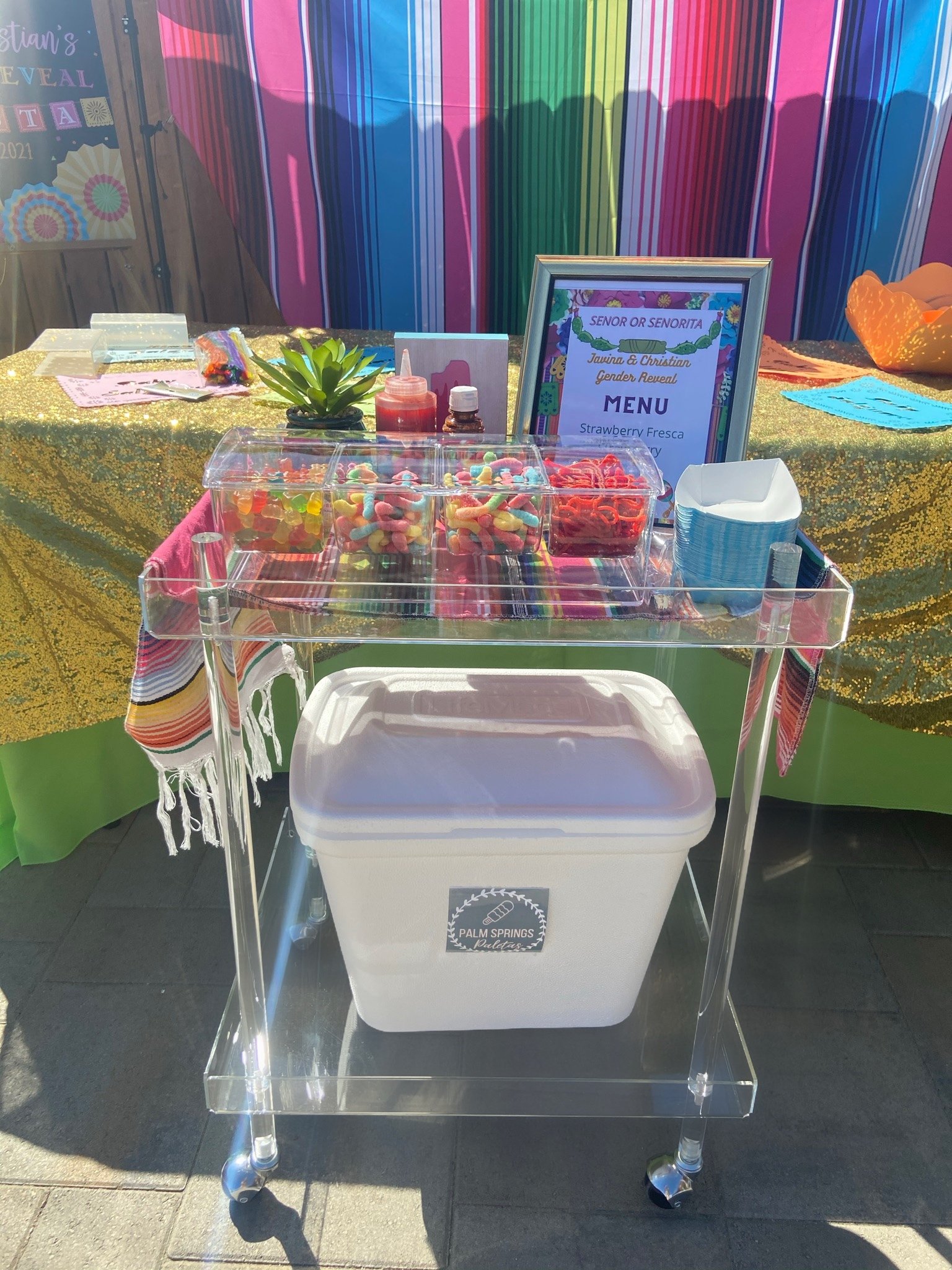 Paleta Cart Packages - Tiny Toddlers Soft Play | Palm Springs, CA