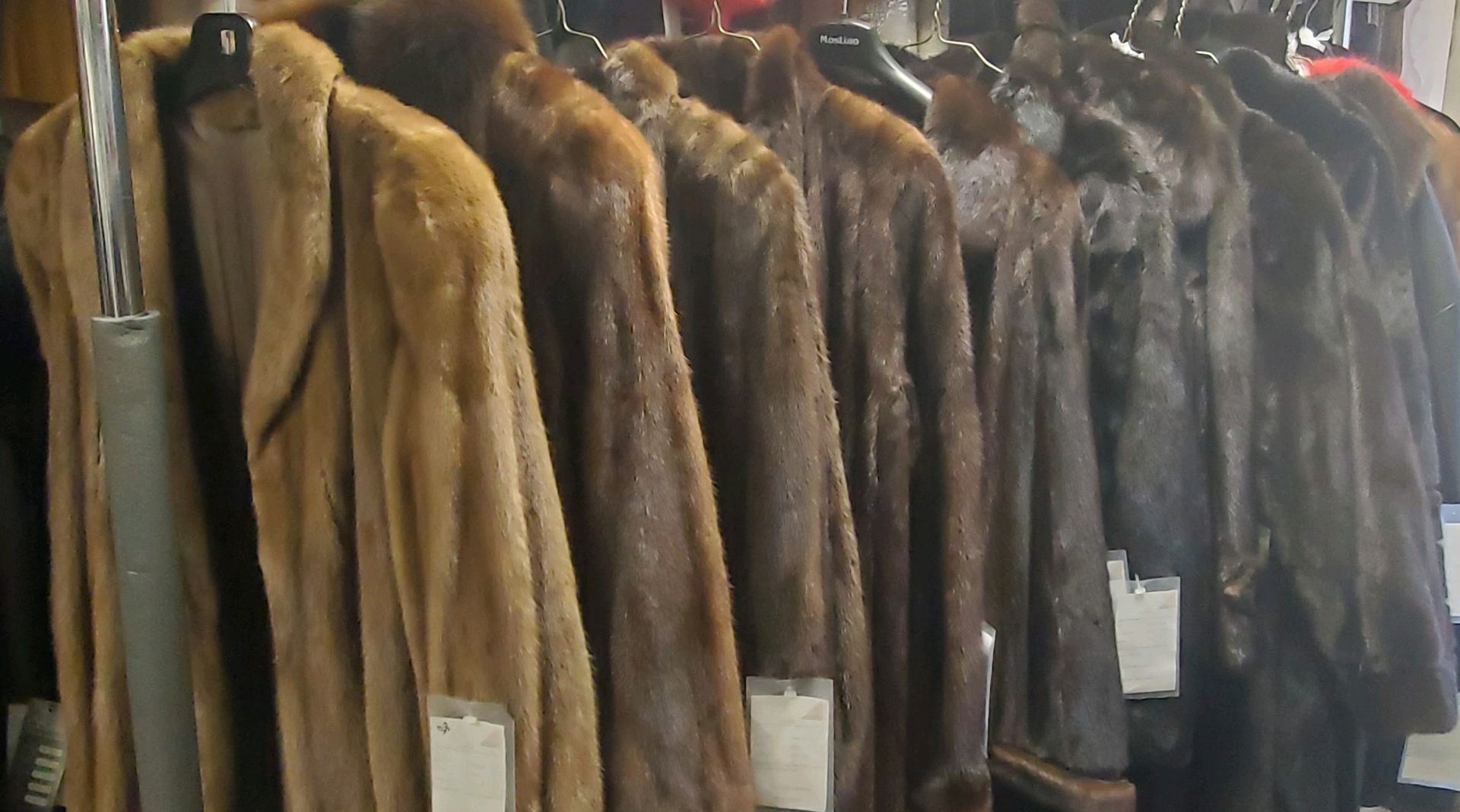 Fur Coats | Bethesda, MD | JS Furs