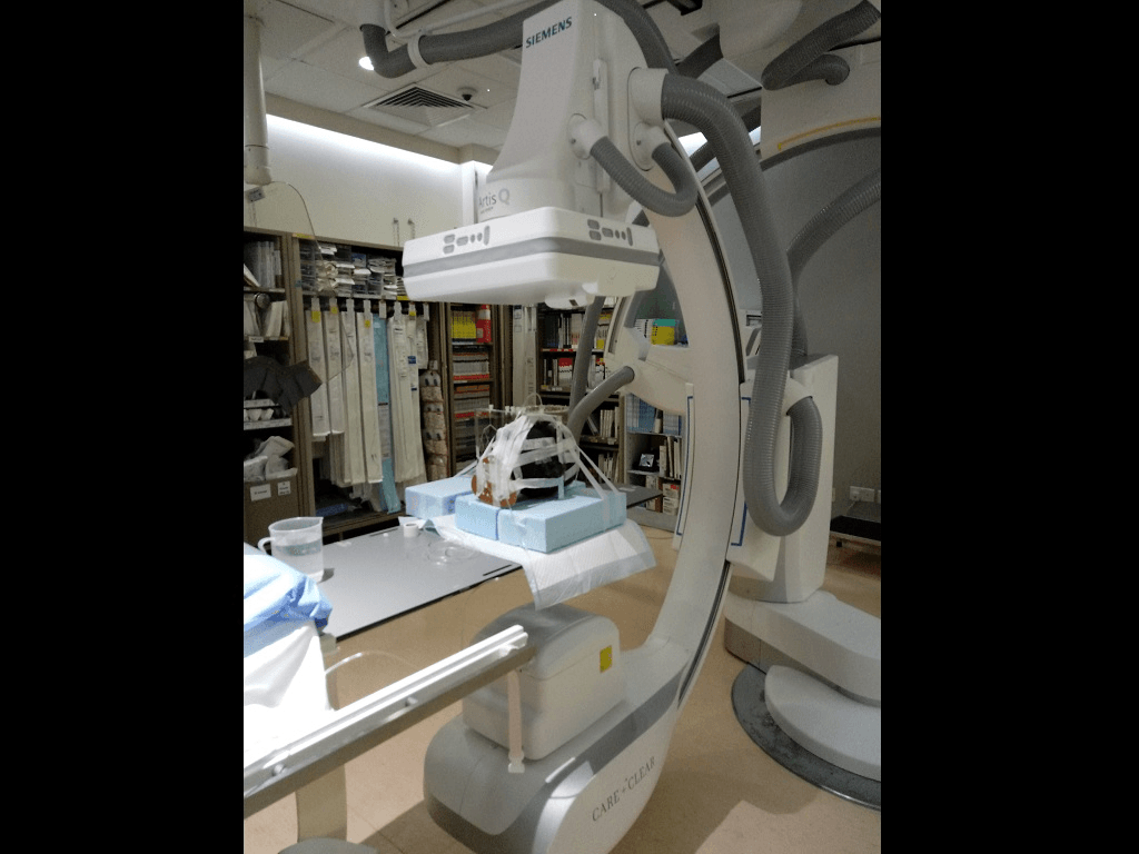 Siemens Artis Q Cath Lab Trailer Rental: Advanced Imaging, Ready to Deploy
