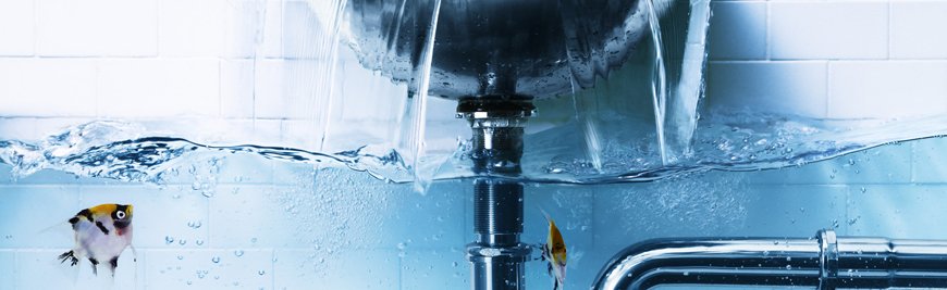 Water Overflow Damage Cleanup & Restoration Irvine, CA