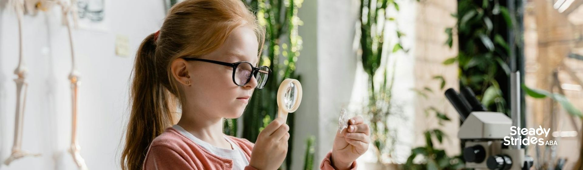 Understanding Intelligence in High Functioning Autism