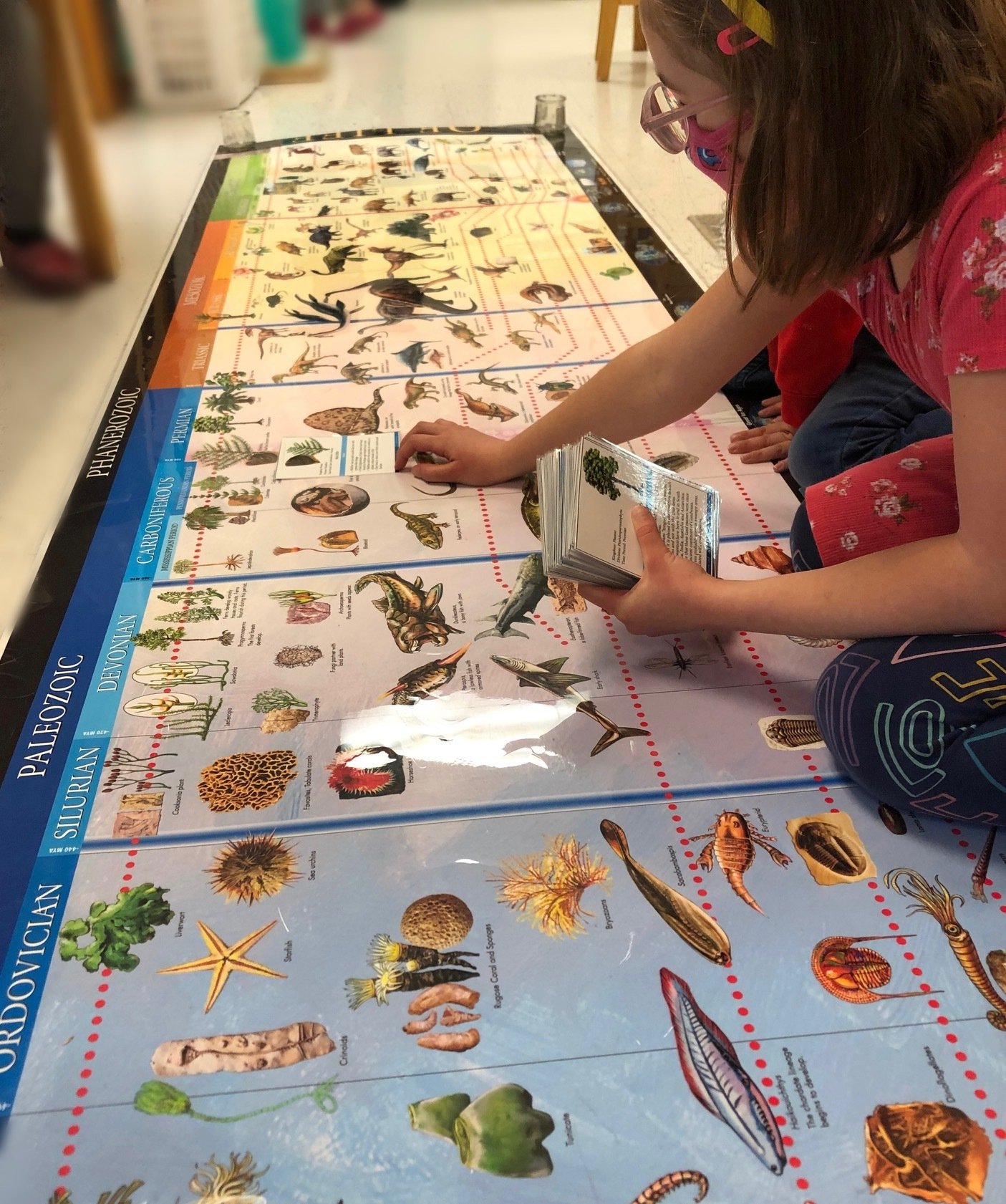 Lower Elementary (grades 1 - 3) | Montessori Academy of Virginia