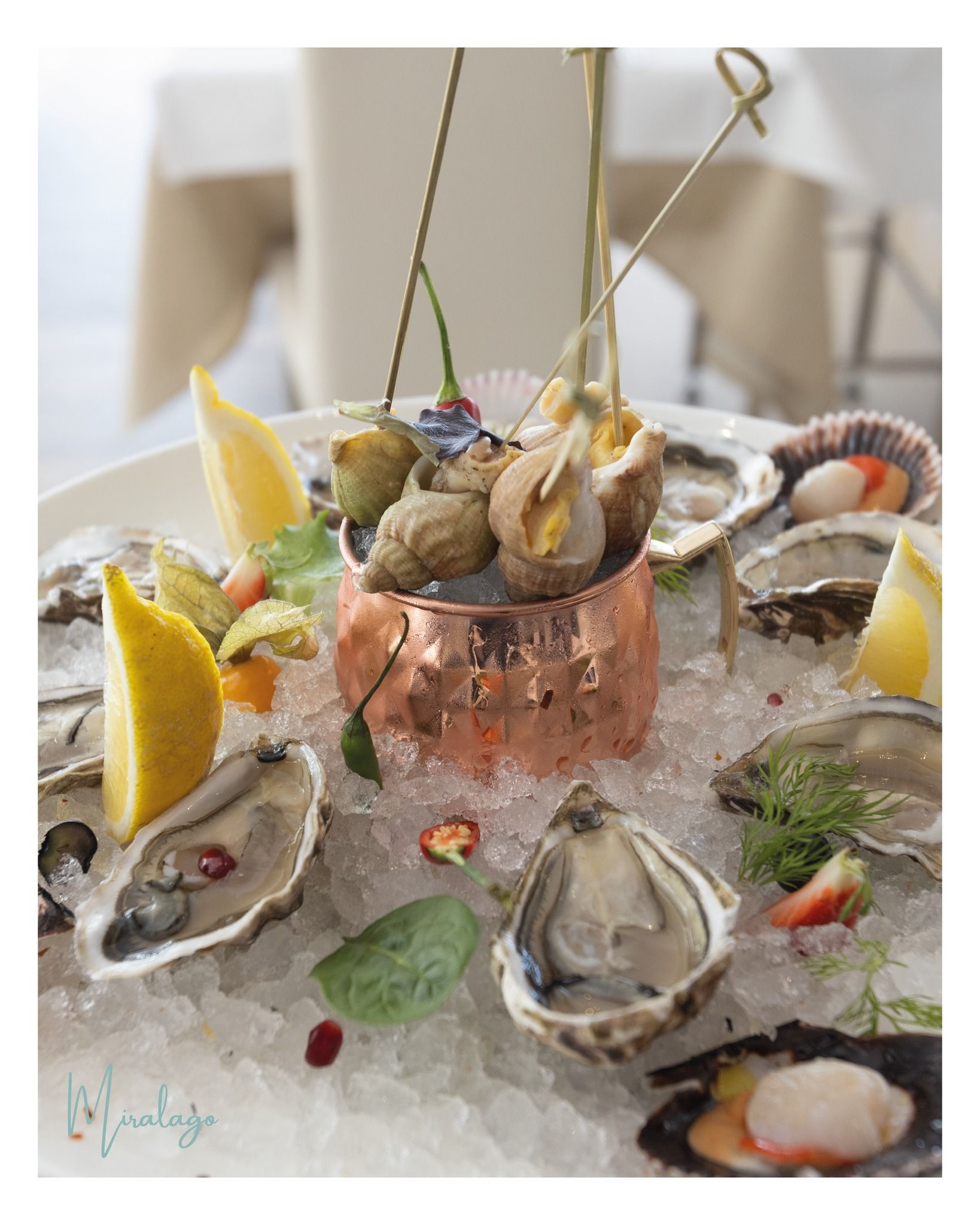 Fresh fish menu in Garda | Miralago