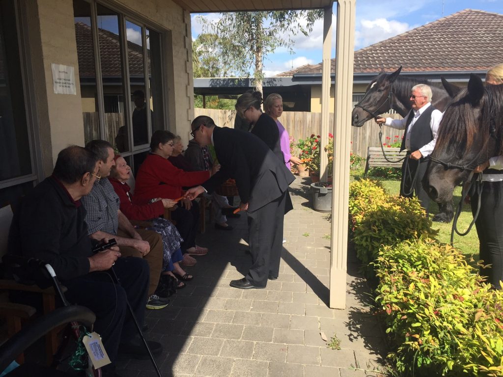 Kilara House | NDIS Aged Care Diamond Creek | Horse Therapy