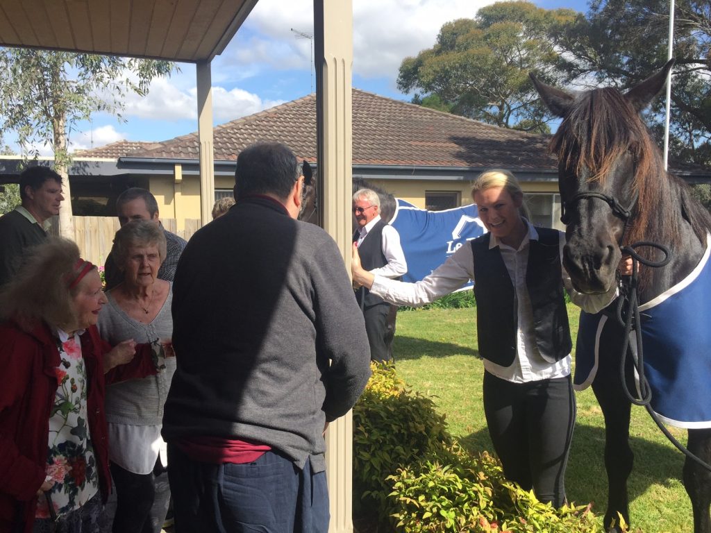 Kilara House | NDIS Aged Care Diamond Creek | Horse Therapy
