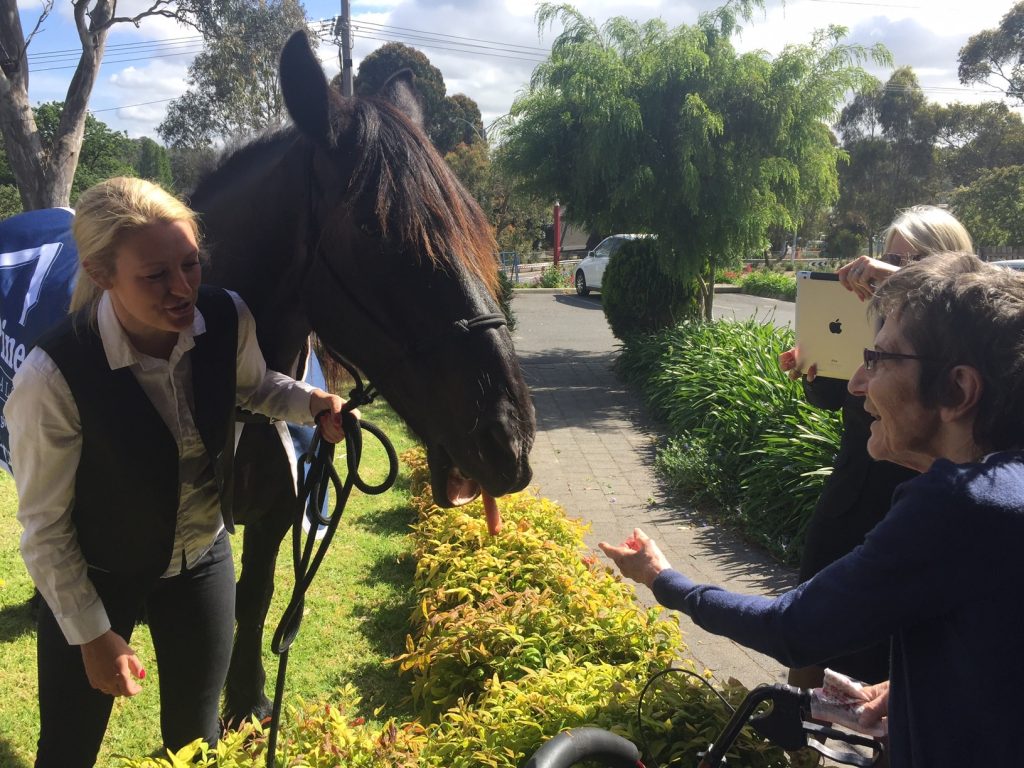 Kilara House | NDIS Aged Care Diamond Creek | Horse Therapy