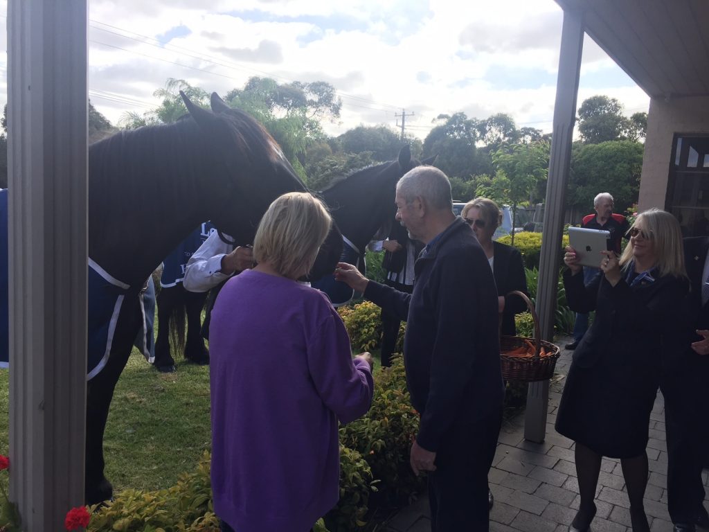 Kilara House | NDIS Aged Care Diamond Creek | Horse Therapy