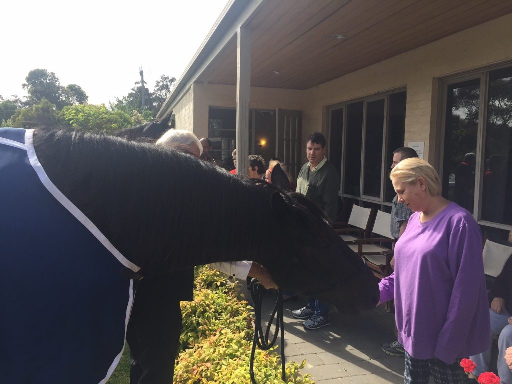 Kilara House | NDIS Aged Care Diamond Creek | Horse Therapy